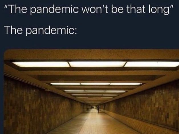 Toronto-centric memes try to find humour about pandemic length ...