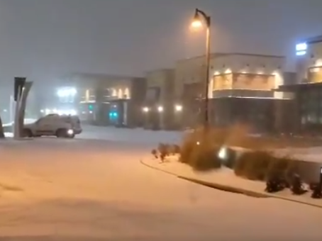 Cold snap leaves 8 million in Texas, Mexico without power | Toronto Sun