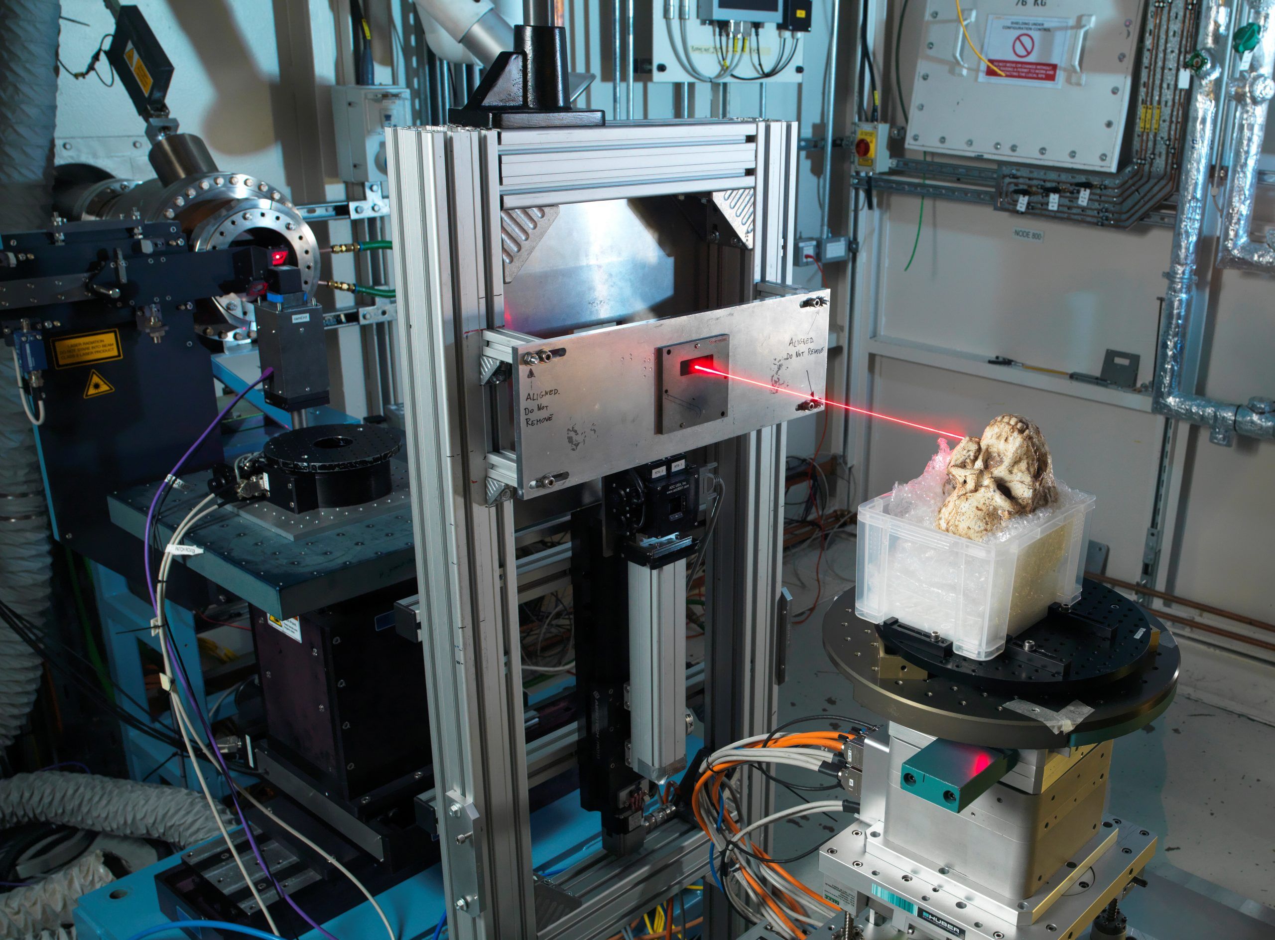 Painstaking study of 'Little Foot' fossil sheds light on human origins ...