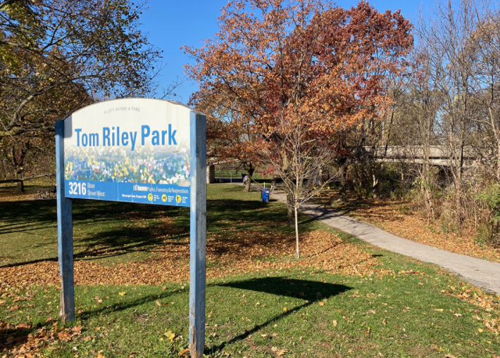 Etobicoke creek mysteriously turns bright blue | Toronto Sun