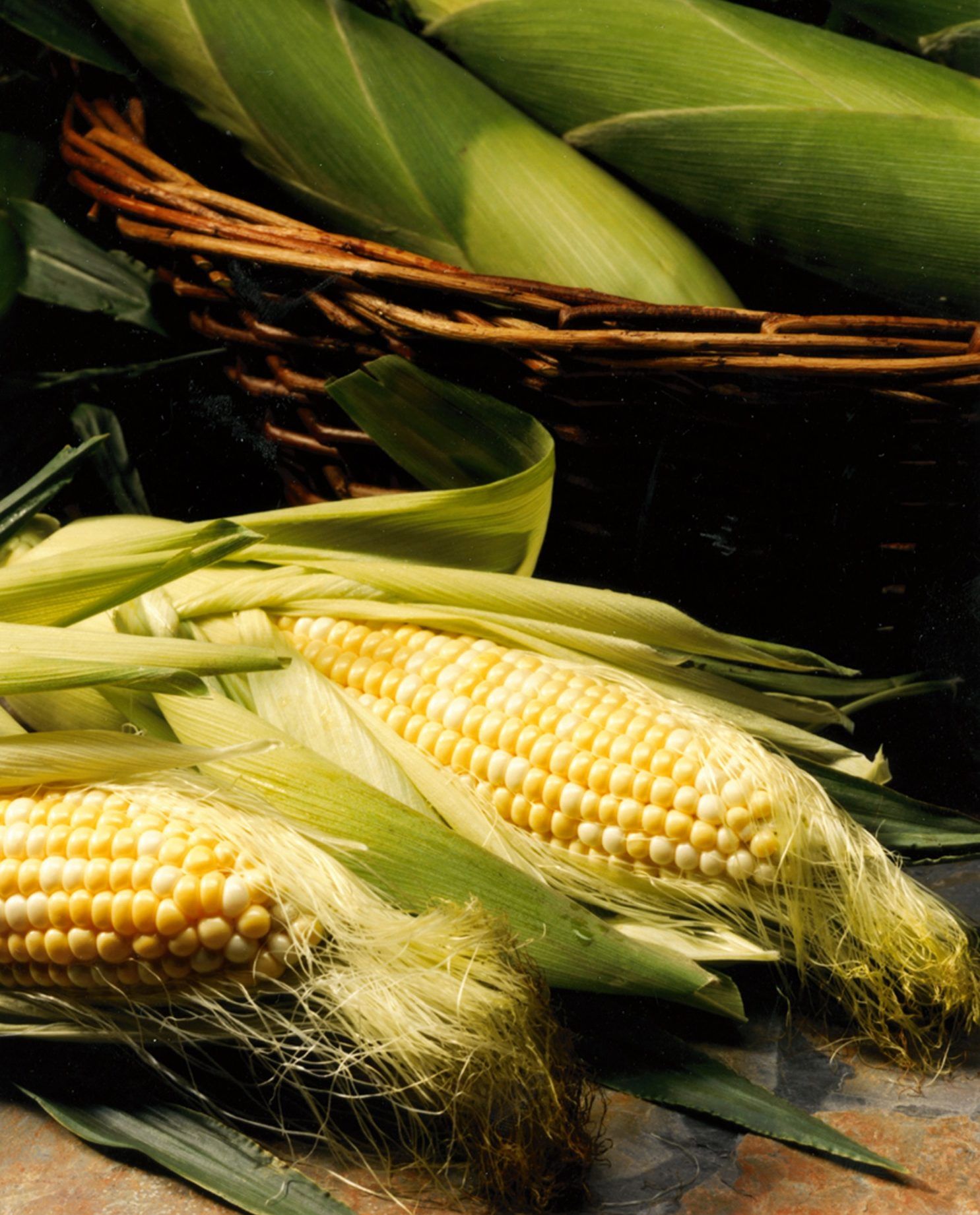 Corn on the job | Toronto Sun