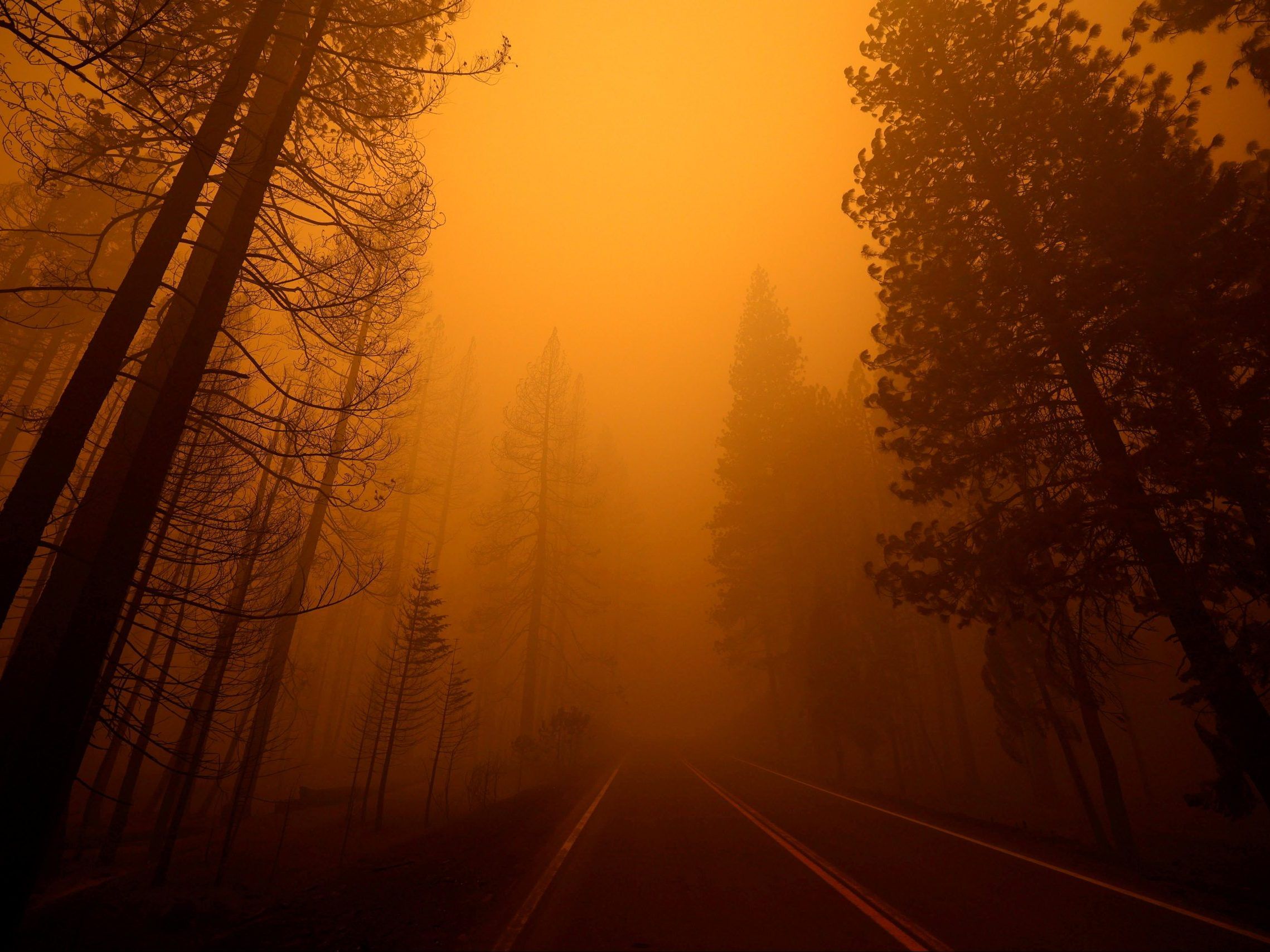 Dixie Fire, still raging, is now California's second-largest wildfire ...