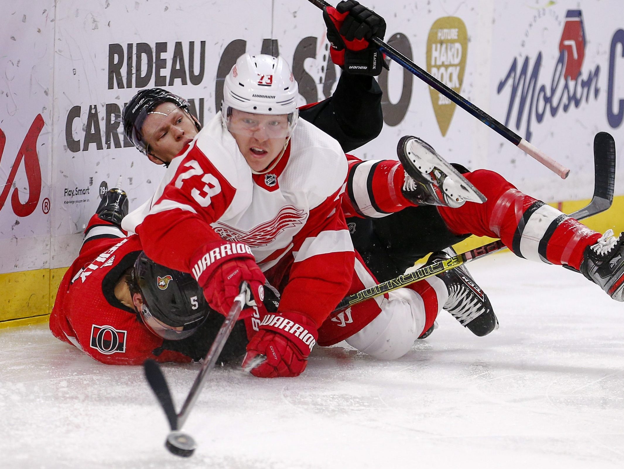 Red Wings re-sign Adam Erne to two-year contract | Toronto Sun