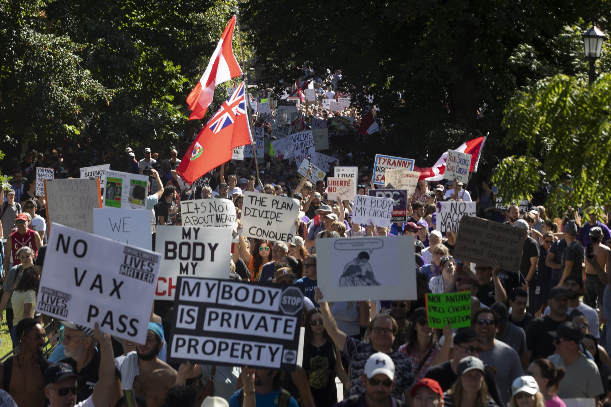 LILLEY: Protesters grumble but Ontario vax passports aren't going away ...