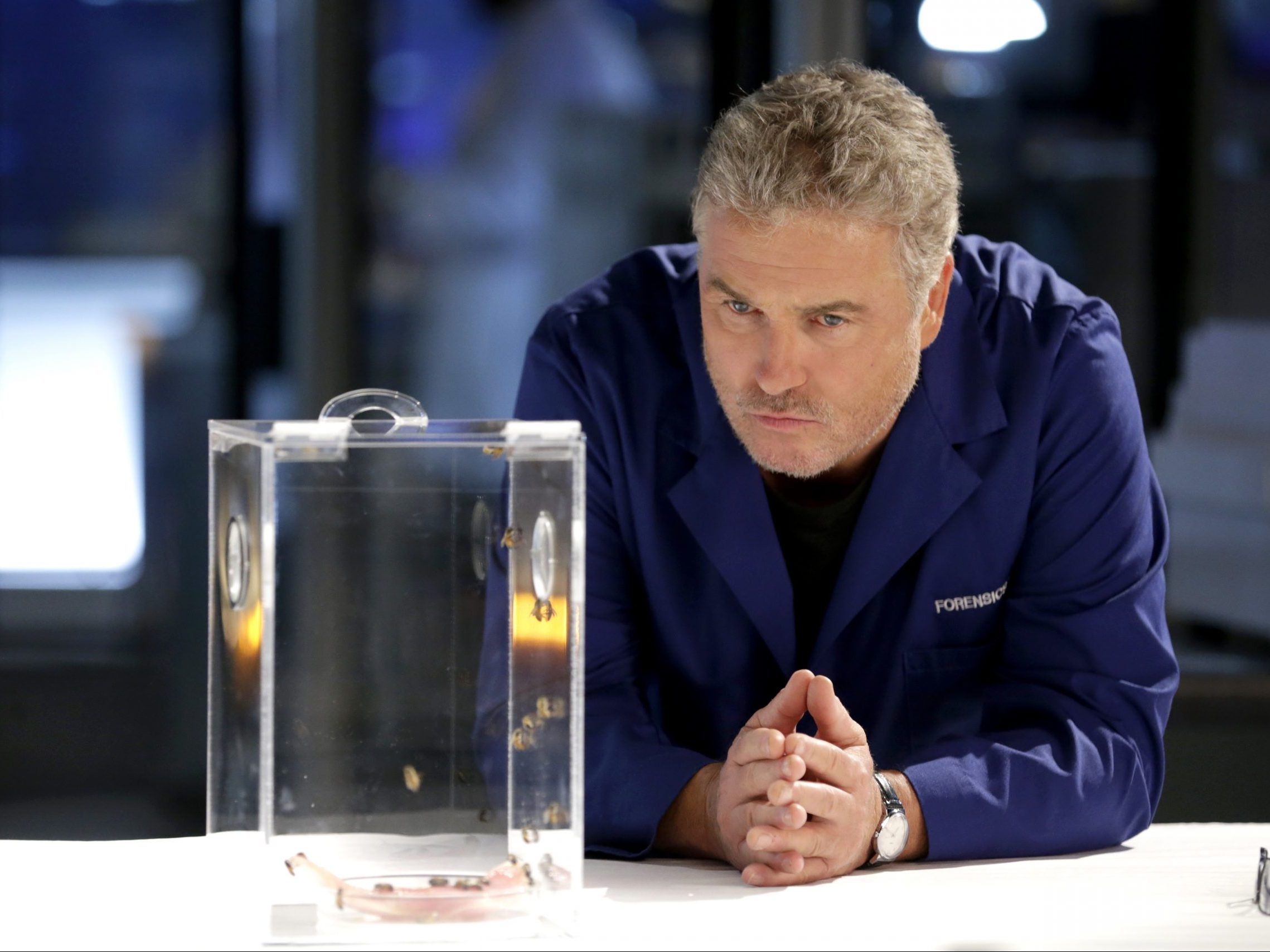 Must-see TV: 'CSI: Vegas,' 'Free Guy,' Bieber's 'Our World' top this ...
