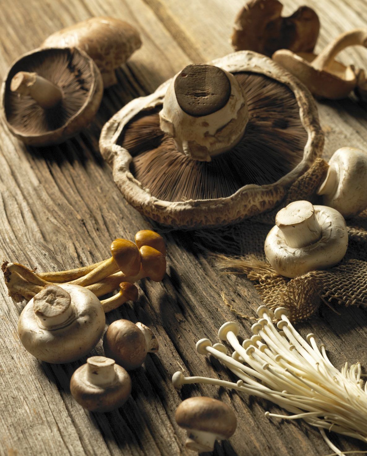 Make room for the 'shroom - it's National Mushroom Day! | Toronto Sun