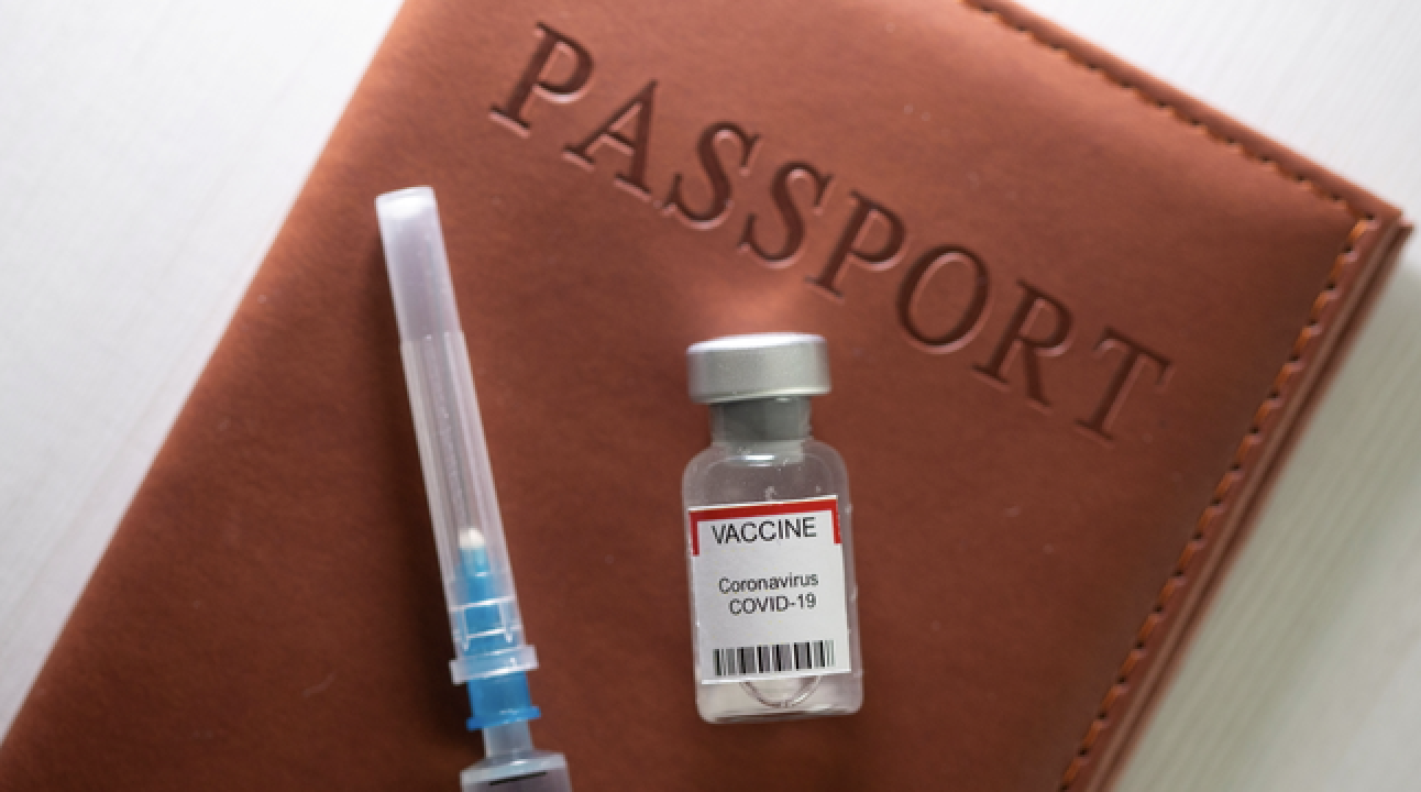 VACCINE CERTIFICATE CHEAT SHEET: How to gain access to life after your ...