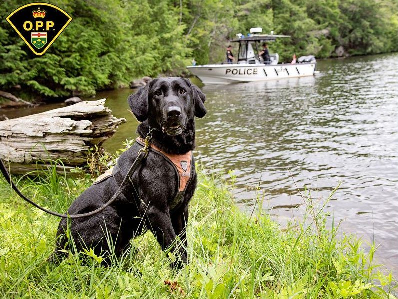 Paws for a cause: OPP dog calendar has different canine each month ...