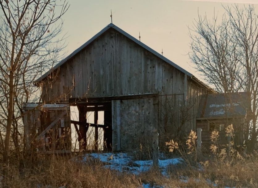 WARMINGTON: Brampton's million-dollar barn-doggle | Toronto Sun