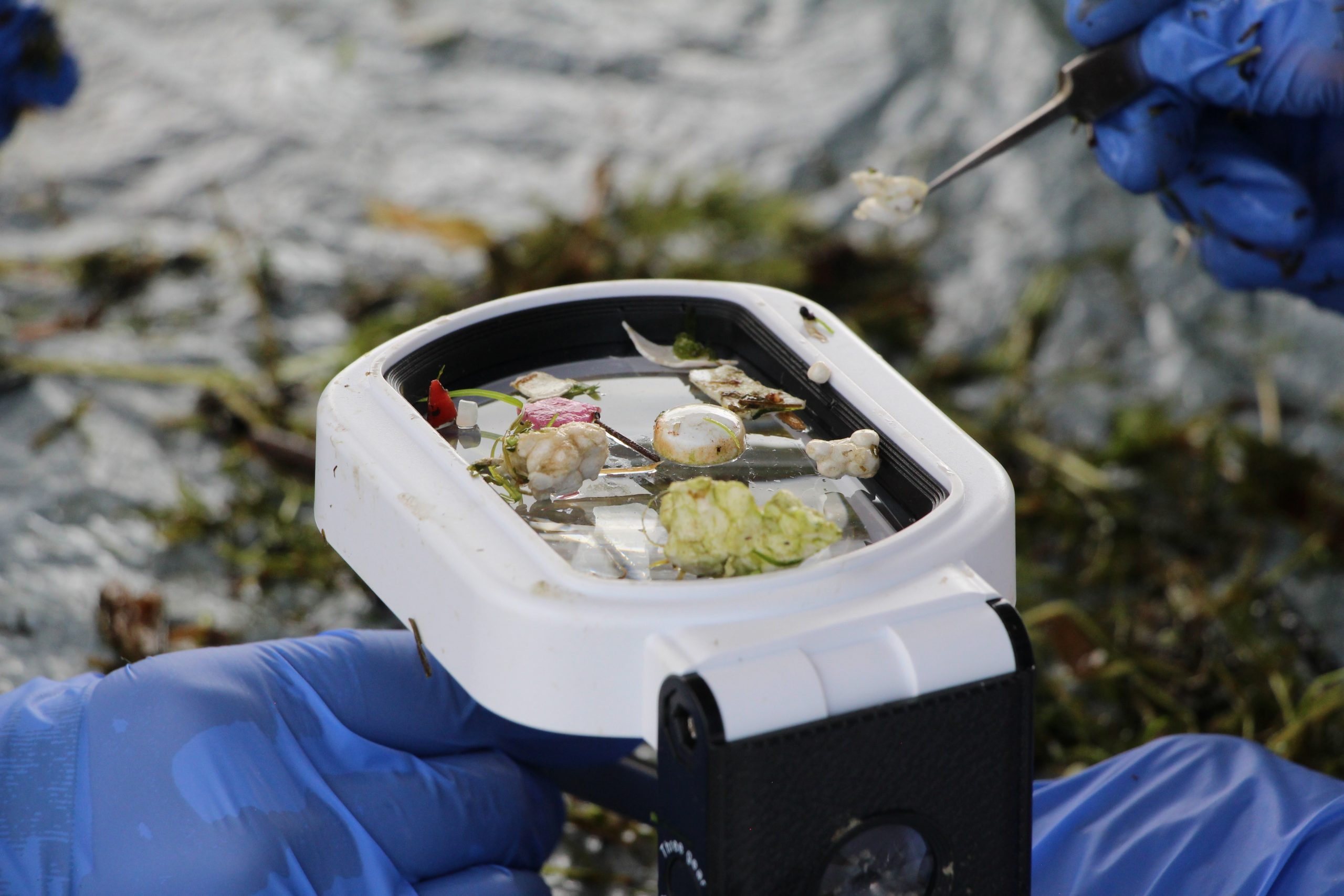 Seabins capture 3,400 plastic bottle equivalent from Toronto Harbour ...