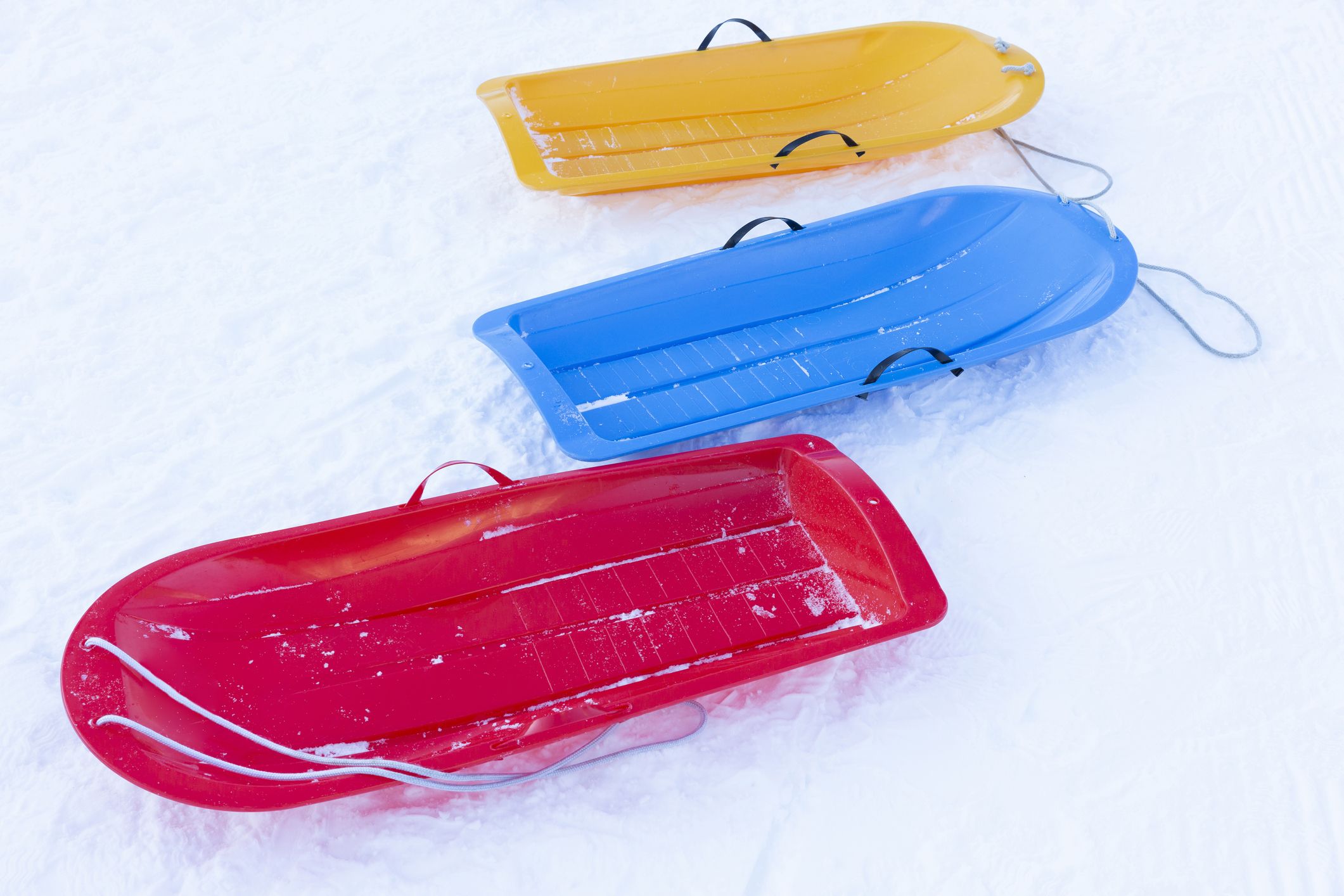 Sledding is a no-no at Christie Pits: City of Toronto | Toronto Sun