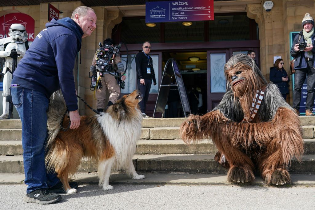 Best pet names for true ‘Star Wars’ fans | Toronto Sun