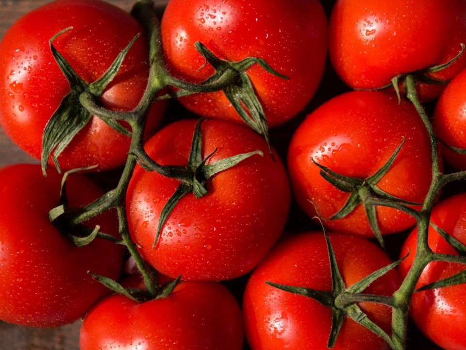 Scientists edit gene in tomatoes for vegan source of vitamin D ...