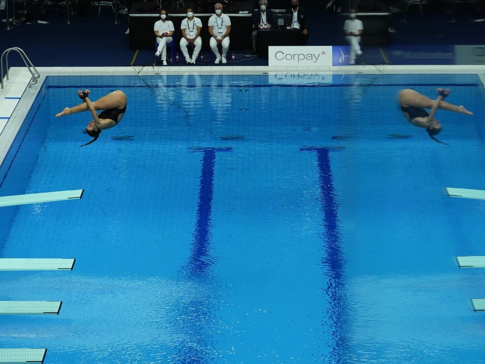 Canada's Vallee takes bronze in one-metre springboard at world aquatics ...
