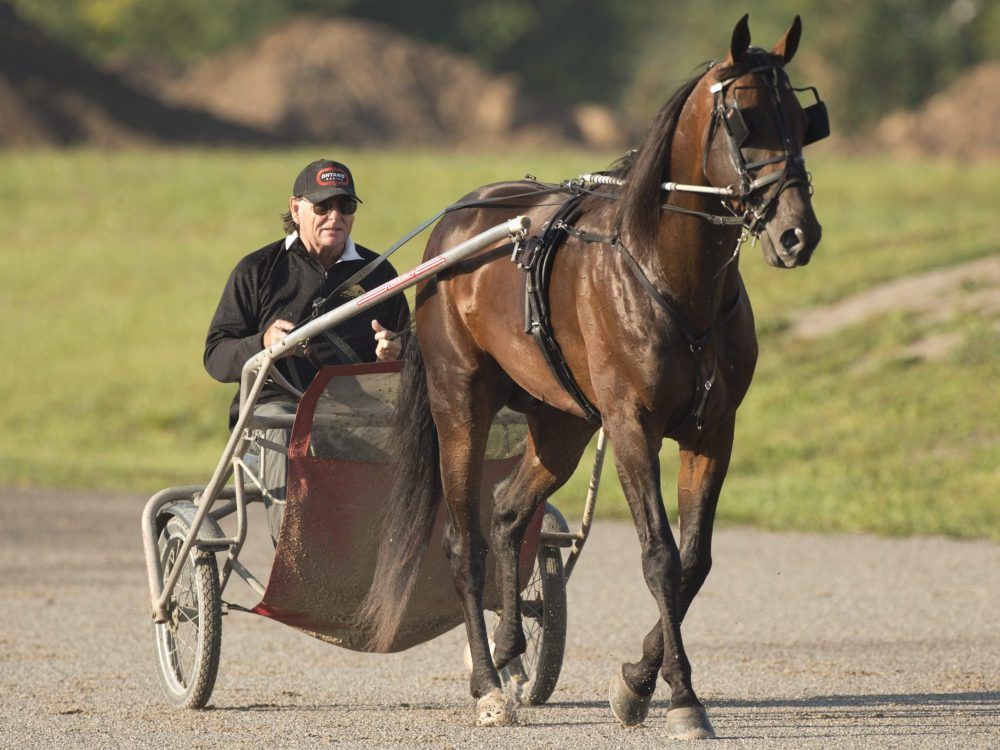 Bulldog Hanover cracks 1:46 barrier | Toronto Sun