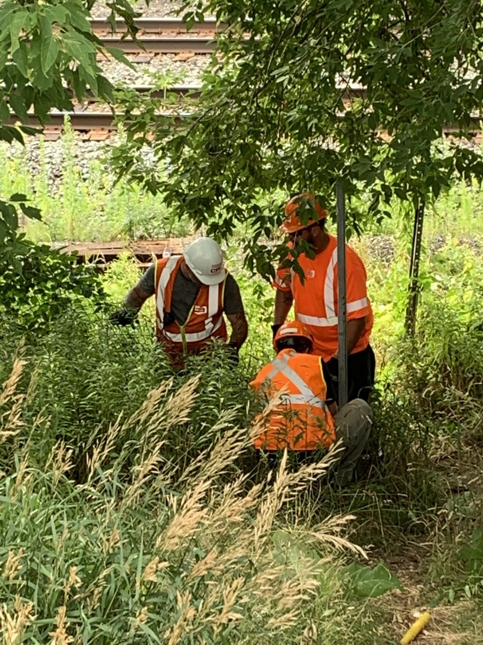 Child struck, killed by a GO train in Mississauga: Peel police ...