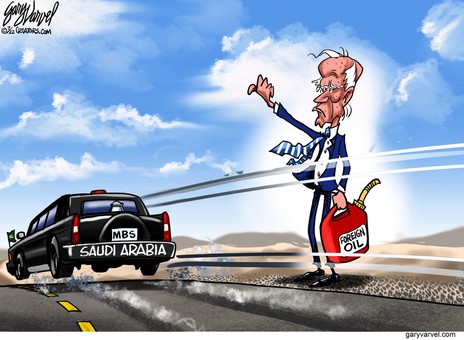 Canadian Editorial Cartoons - Political Jokes & Humour | Calgary Sun