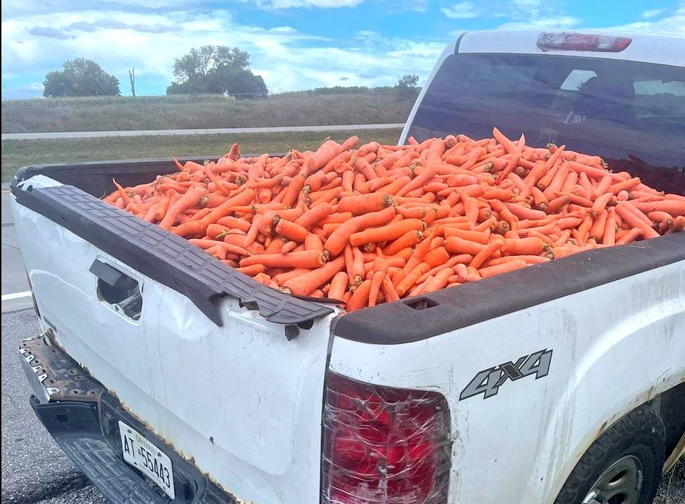 WHAT'S UP, DOC?: Driver busted with insecure load of carrots | Toronto Sun