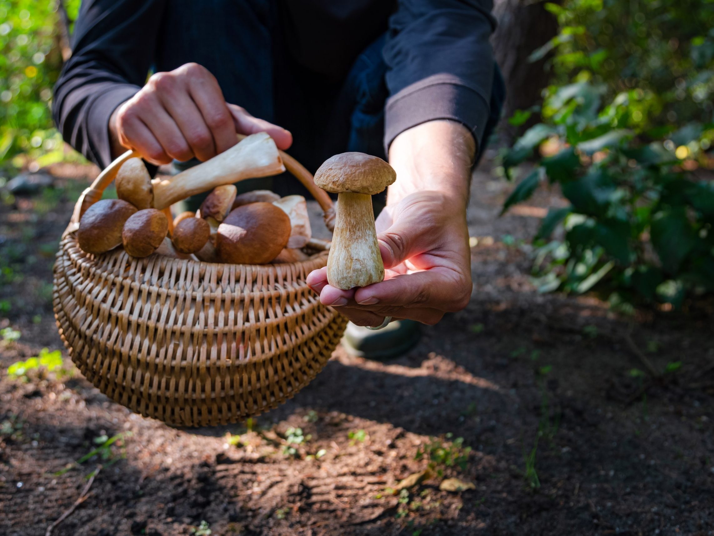 ASK AMY: Readers criticize recent column; Amy responds | Toronto Sun