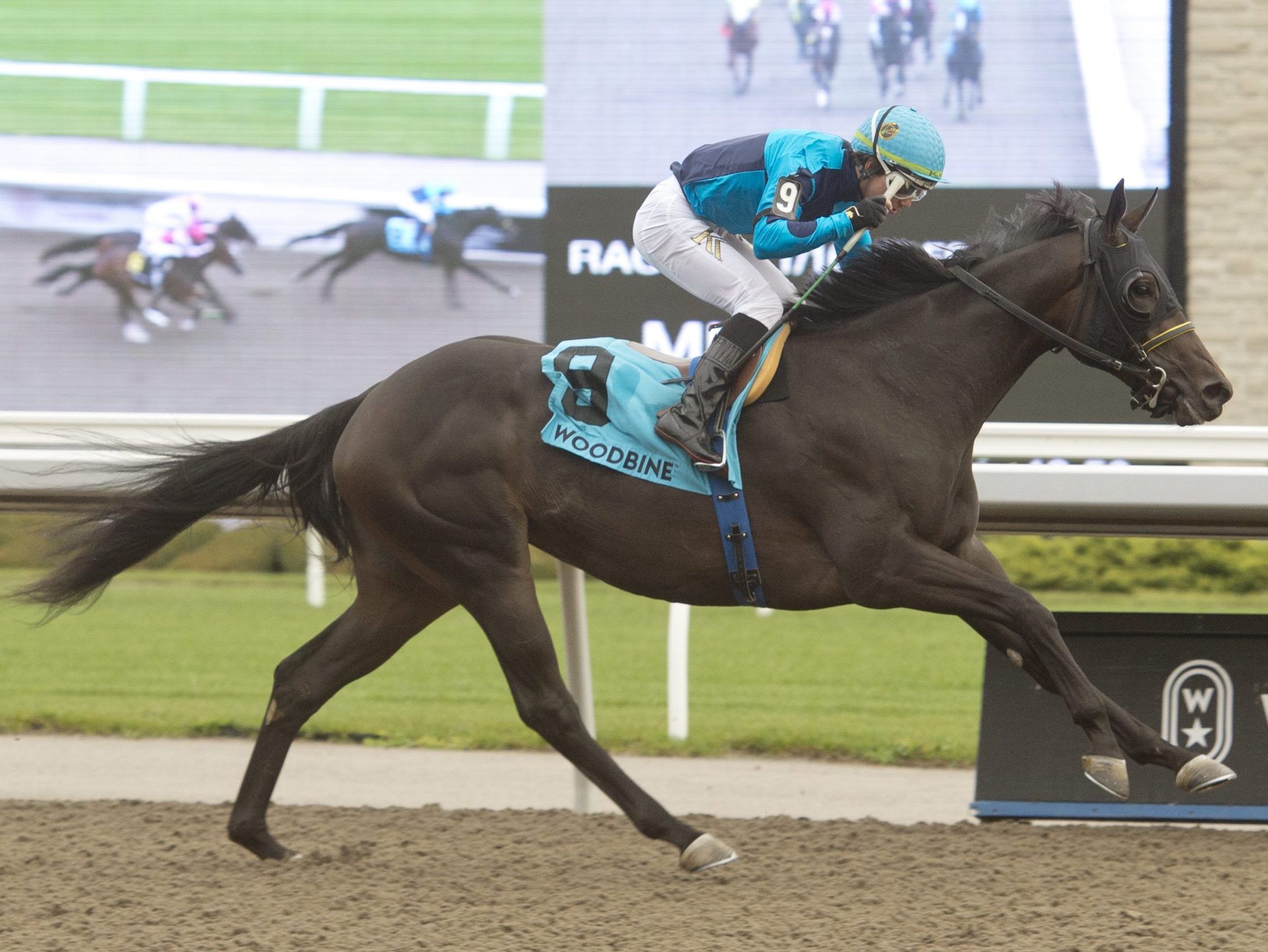 Danny Vella-trained Jumpin Junie wins Princess Elizabeth Stakes ...