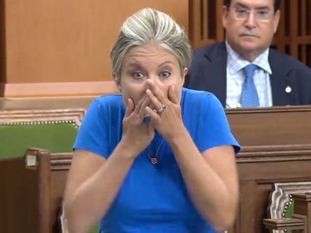 HOT MIC: 'Enough with this woke s—'; MP Michelle Rempel Garner ...