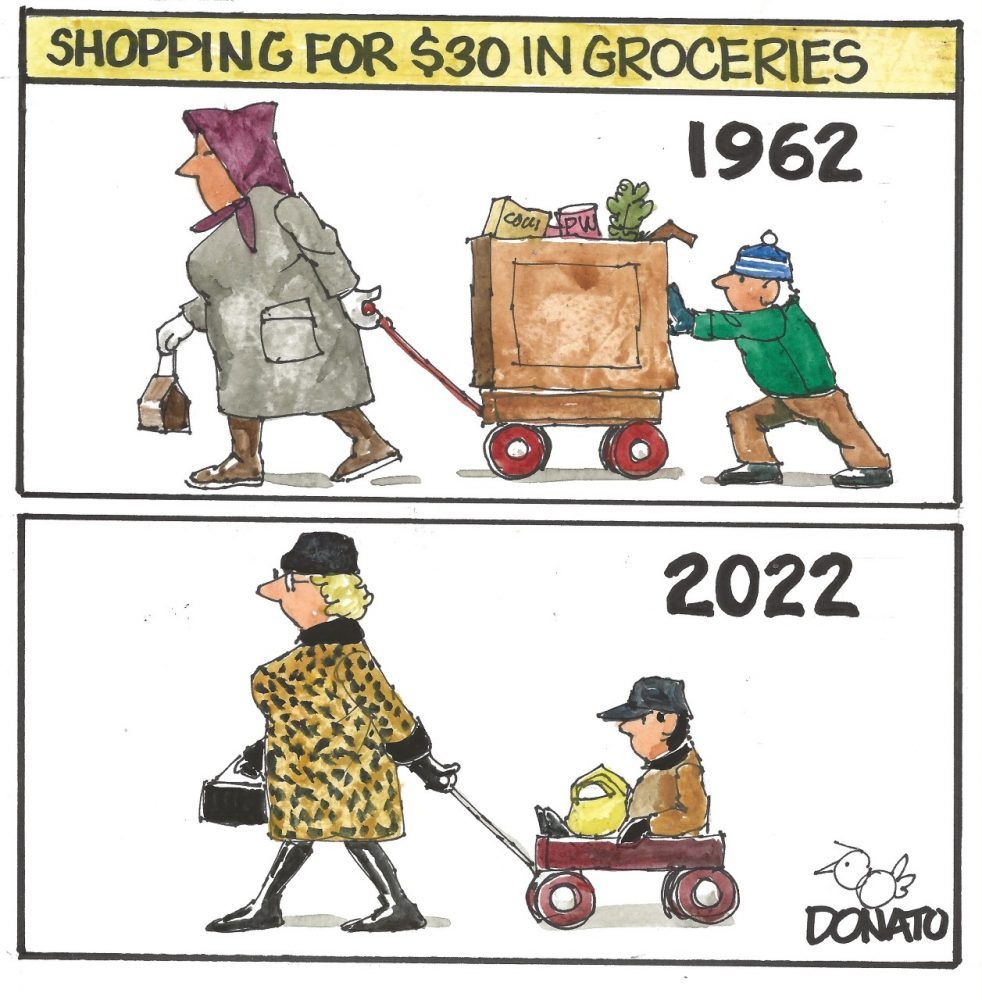 Andy Donato cartoon, Nov. 13, 2022 | Toronto Sun