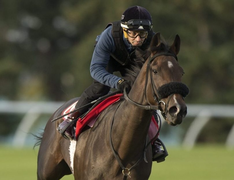 BUFFERY: Kimura and Casse on course to win titles | Toronto Sun