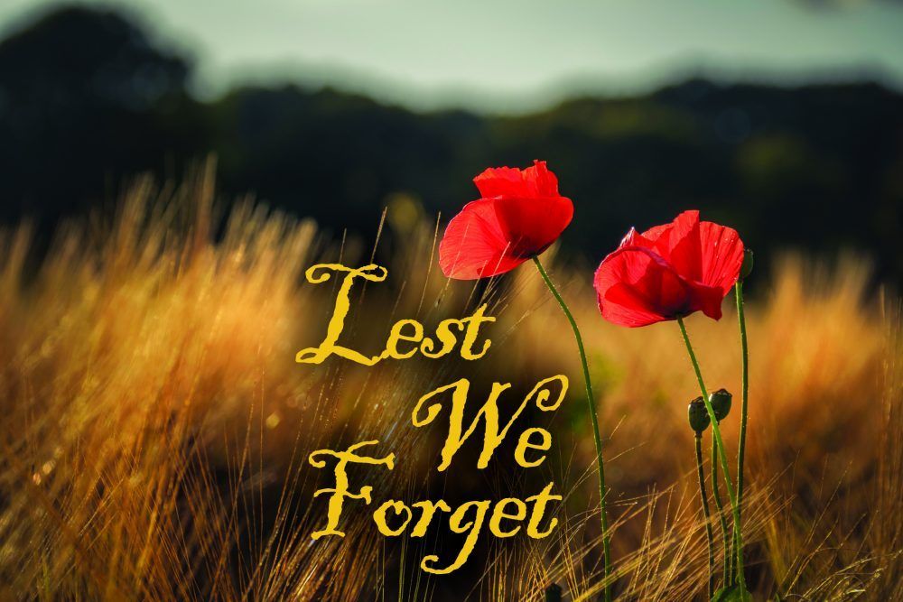 Remembrance Day cartoon, Nov. 11, 2022 | Toronto Sun