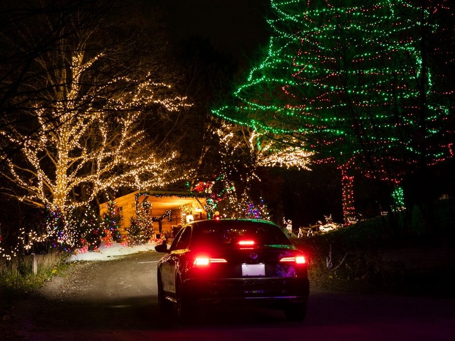 Top Things To Do In Toronto This Weekend Toronto Sun