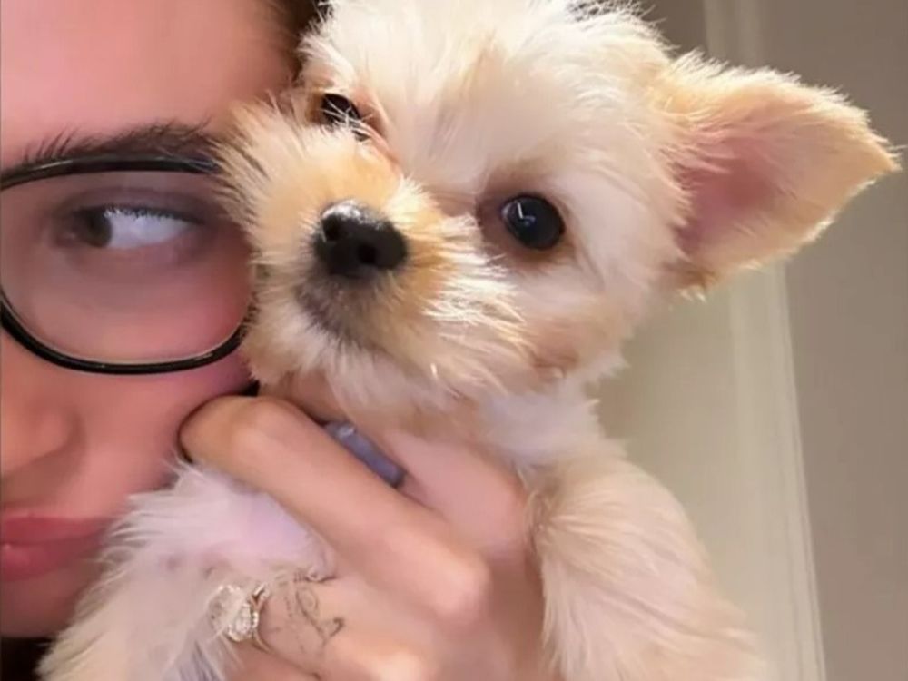 Justin and Hailey Bieber welcome new puppy into their family | Toronto Sun