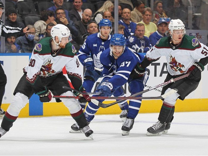 Maple Leafs' goal remains in focus in first visit to Mullett Arena ...