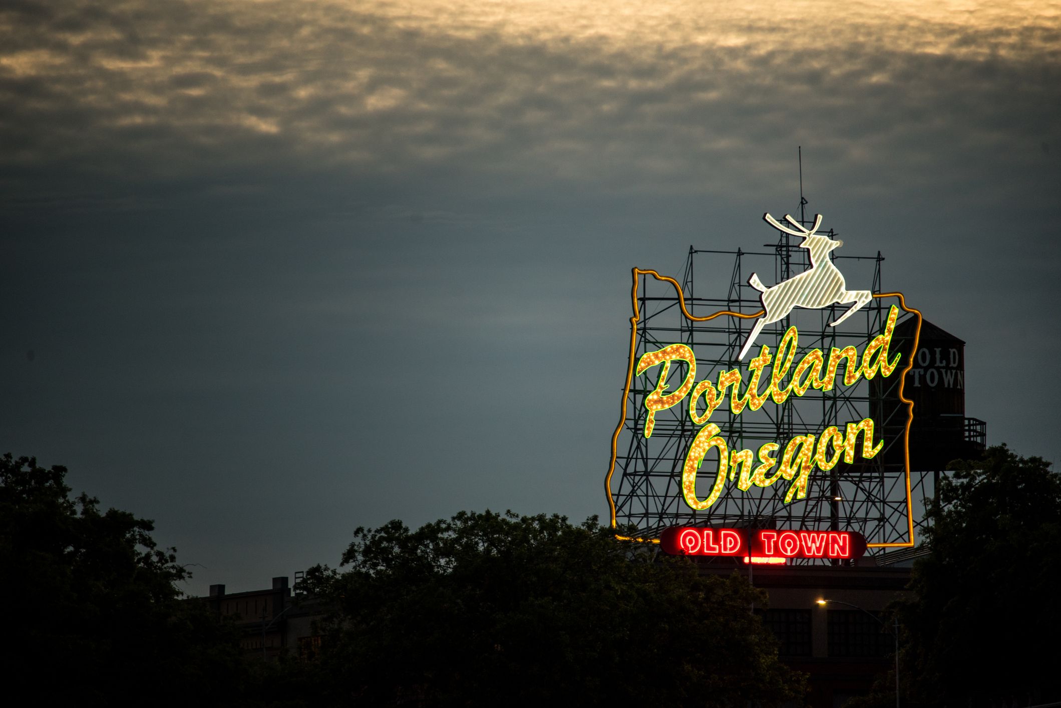Elderly man has ear chewed off in Portland train station attack ...