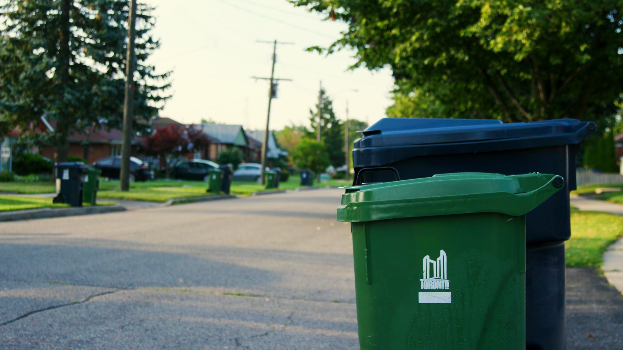 TOwaste app offers a waste sorting solution before you throw | Toronto Sun