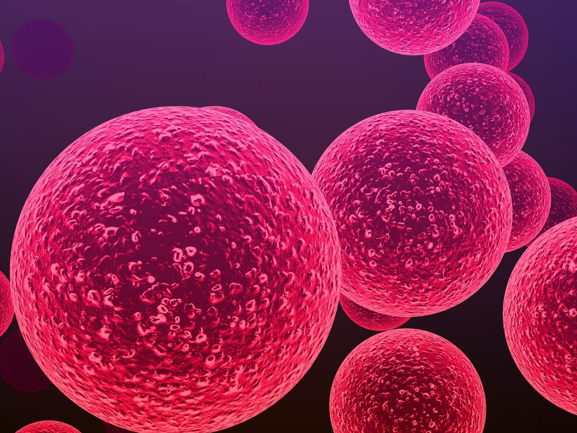 Doctor accused of spreading deadly meningitis arrested in Mexico ...