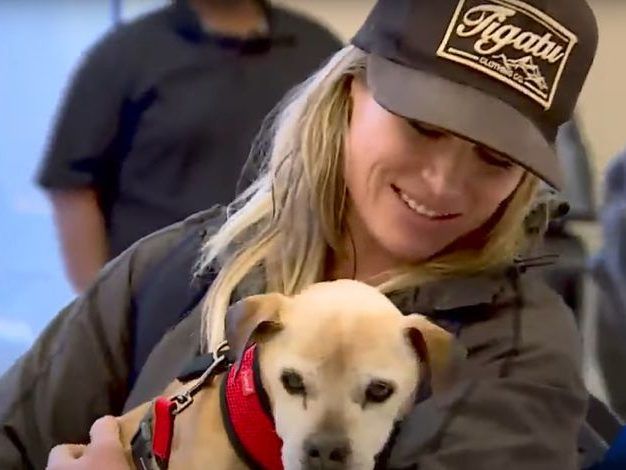 Dog missing for seven years found 2,700 kilometres away safe and sound ...