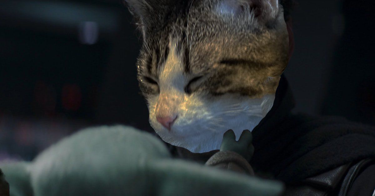 Kitty named after actor Pedro Pascal goes viral, gets adopted | Toronto Sun