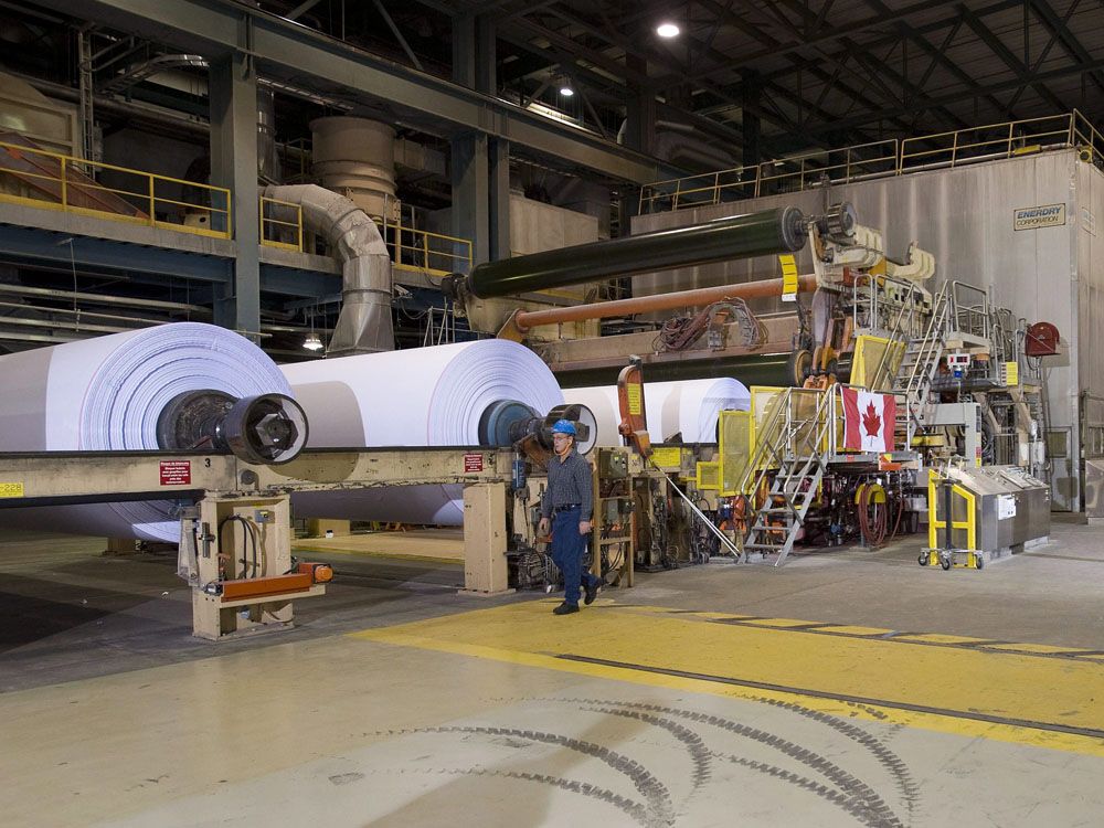 Smart policy will bolster business environment for manufacturing ...