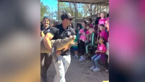 Stolen gator returned to Texas zoo ... 20 years later | Toronto Sun