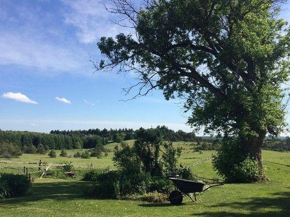 Ontario unveils plans for new 'urban' provincial park in Uxbridge ...