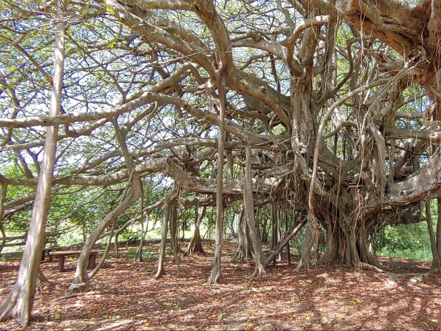 Costa Rica brimming with life | Toronto Sun