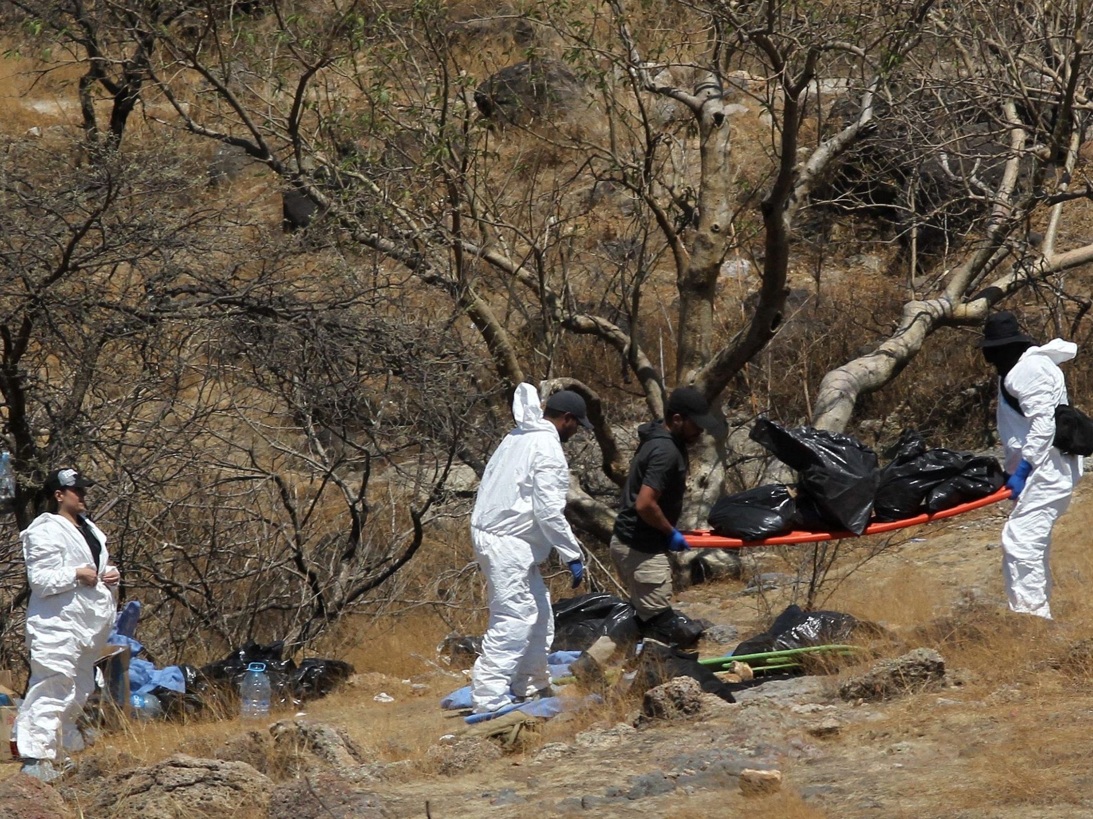 Authorities in western Mexico find dozens of bags with human remains ...