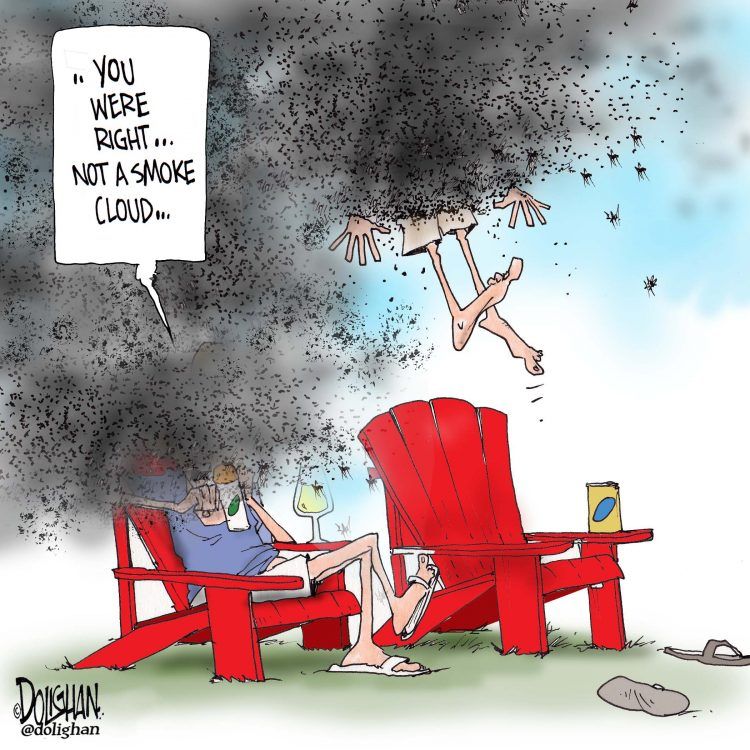 Canadian Editorial Cartoons - Political Jokes & Humour | Calgary Sun