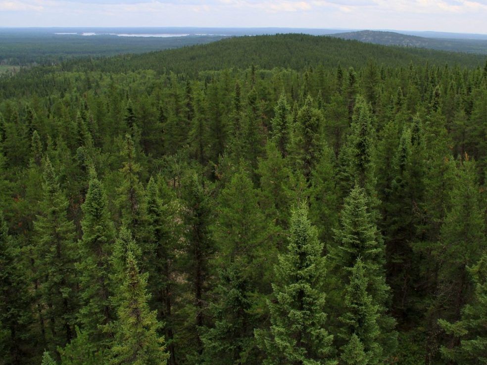 Canada sent payment to blacklisted Russia collaborator: Report ...