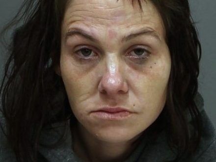 Woman, 39, sought for liquor store thefts across Toronto | Toronto Sun