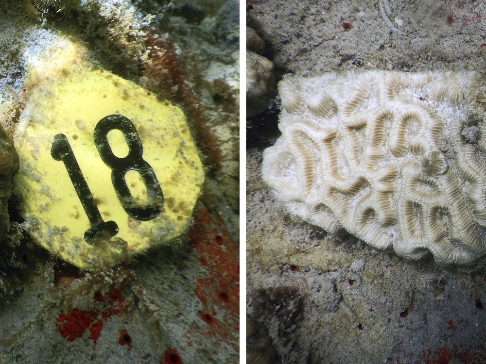 Water at tip of Florida hits hot tub level, may have set world record ...