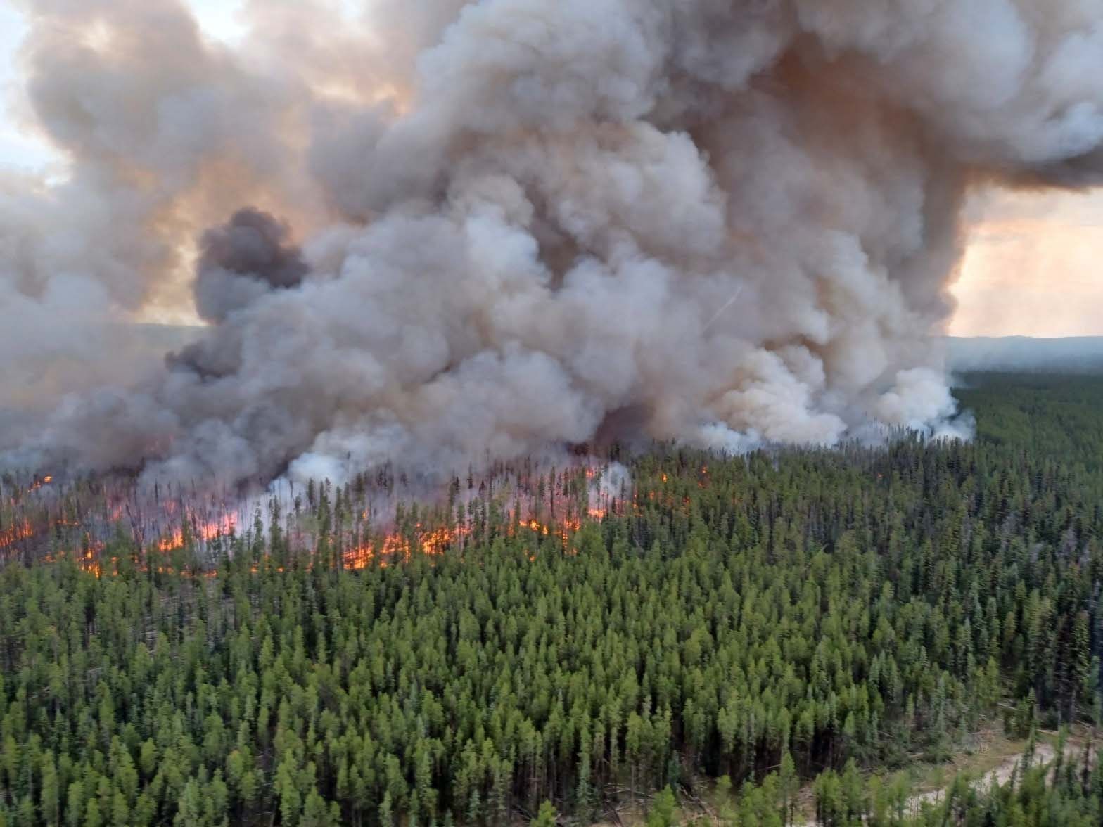 Evacuation orders issued in B.C’s Prince George Fire Centre regions ...