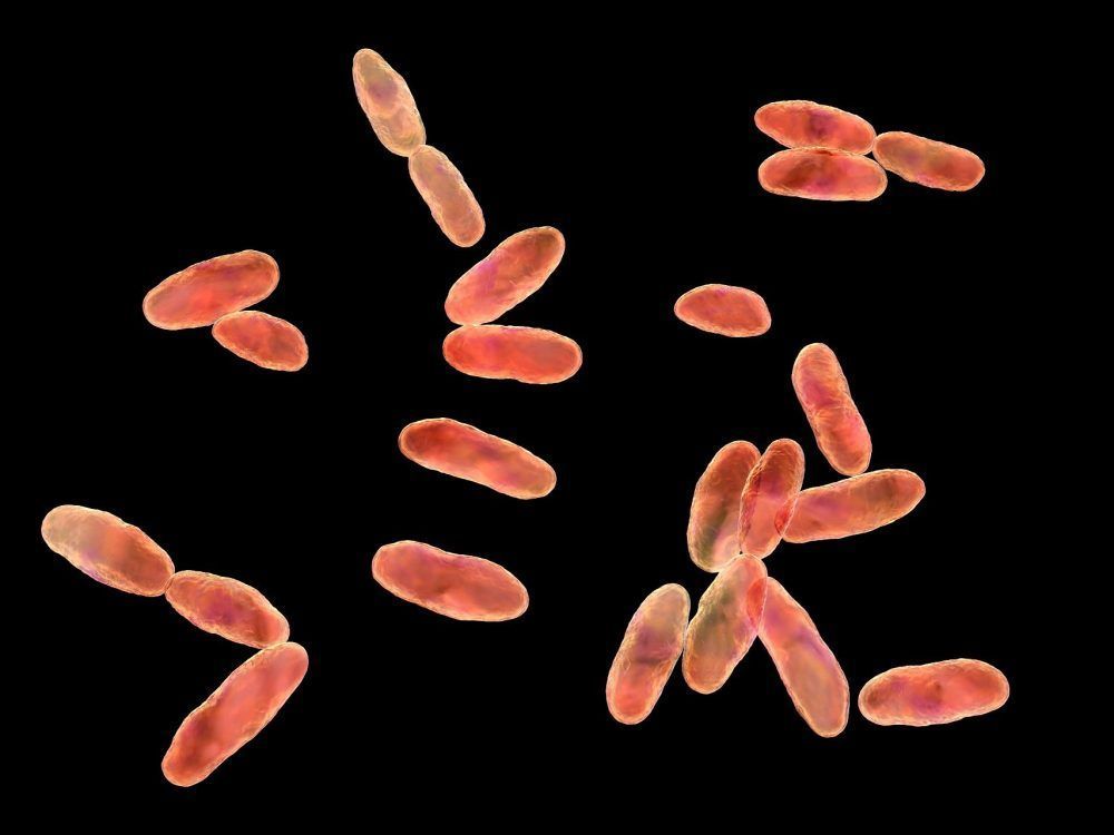 Flesh Eating Bacteria Infections On The Rise Toronto Sun