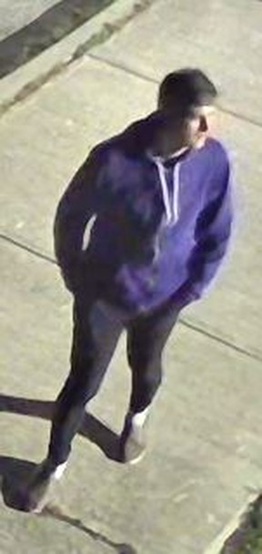 Man Sought In Alleged Sex Assault In Vaughan Park Toronto Sun