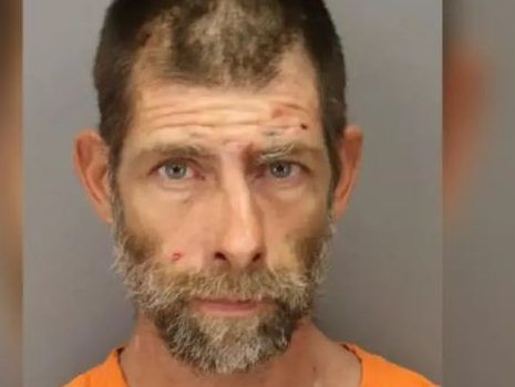 Florida man accused of pooping, dumping it on dead possum in traffic ...