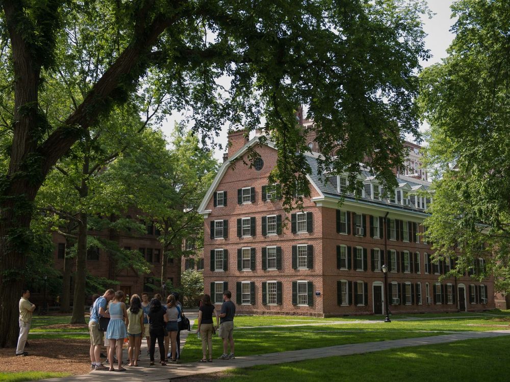 Yale brings back SAT testing as best way to predict success | Toronto Sun